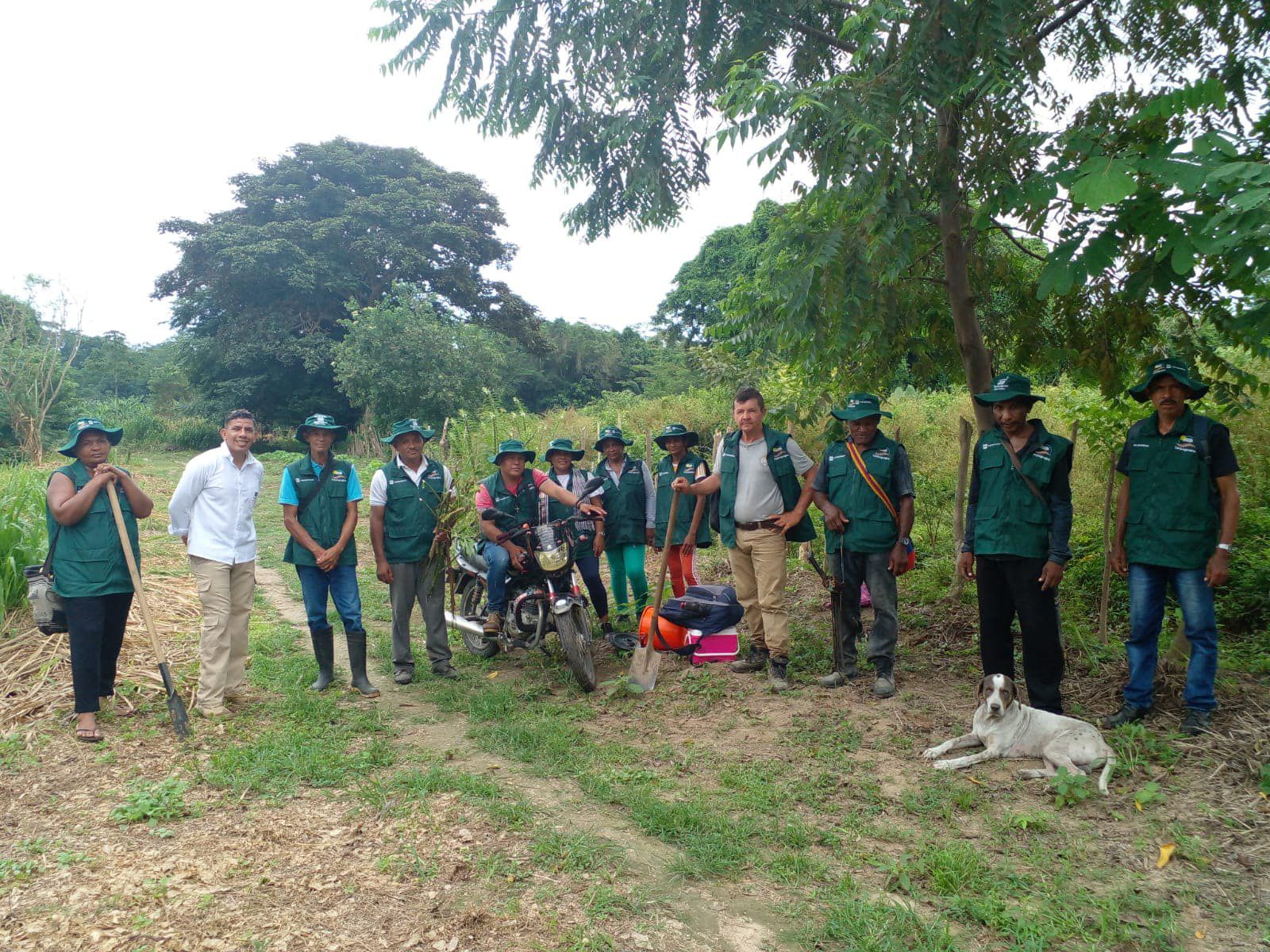 Con pagos por servicios ambientales se conserva el bosque seco tropical ...